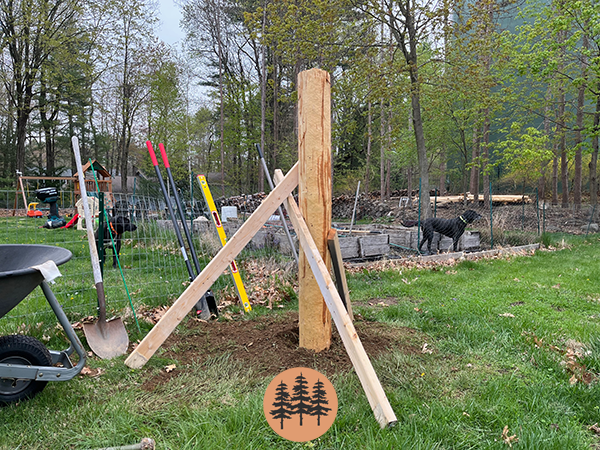 Split rail fence construction: my DIY guide to using materials only ...