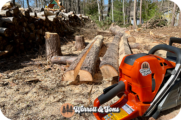 Building a Split Rail Fence: Site Planning and Lumber Prep